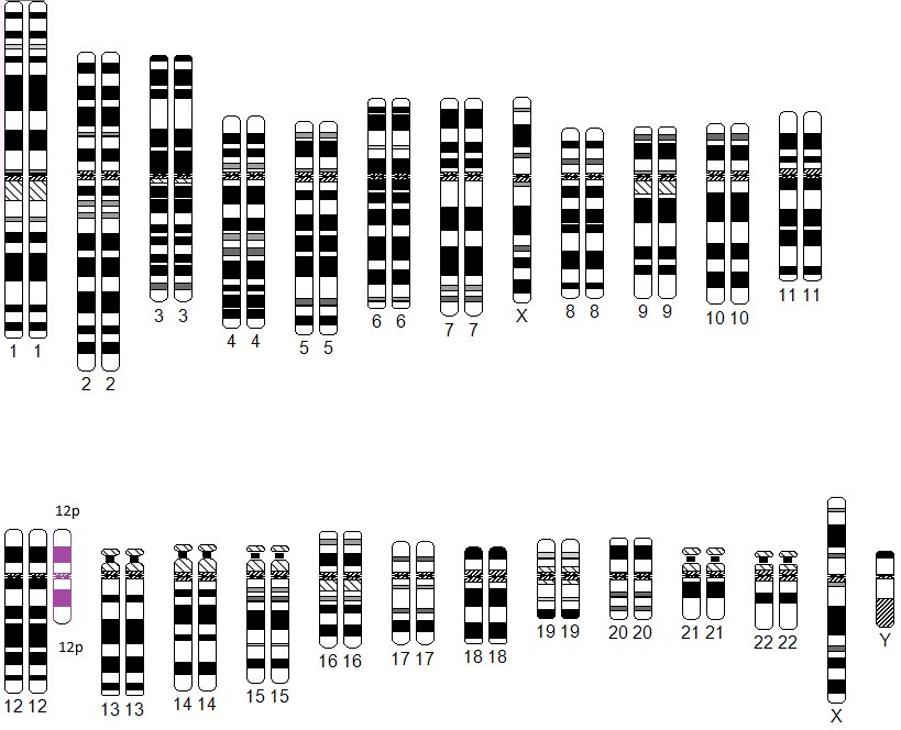 About | Pallister Genetics